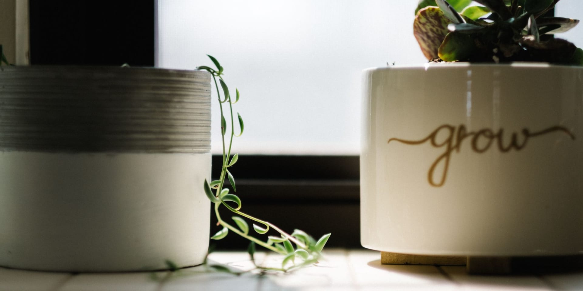 The GROW Model: A Powerful Blueprint for Achieving Your Goals (updated ...